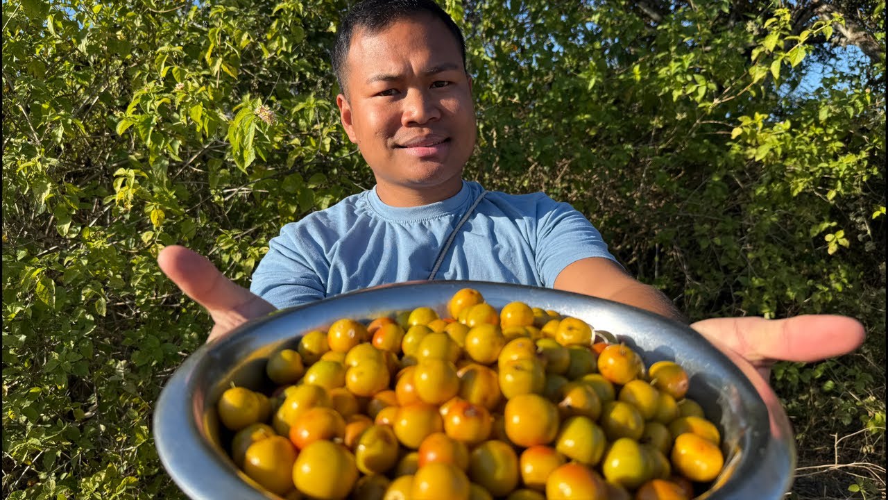 Bitul Vlogs is lives Mr Chikoon - YouTube