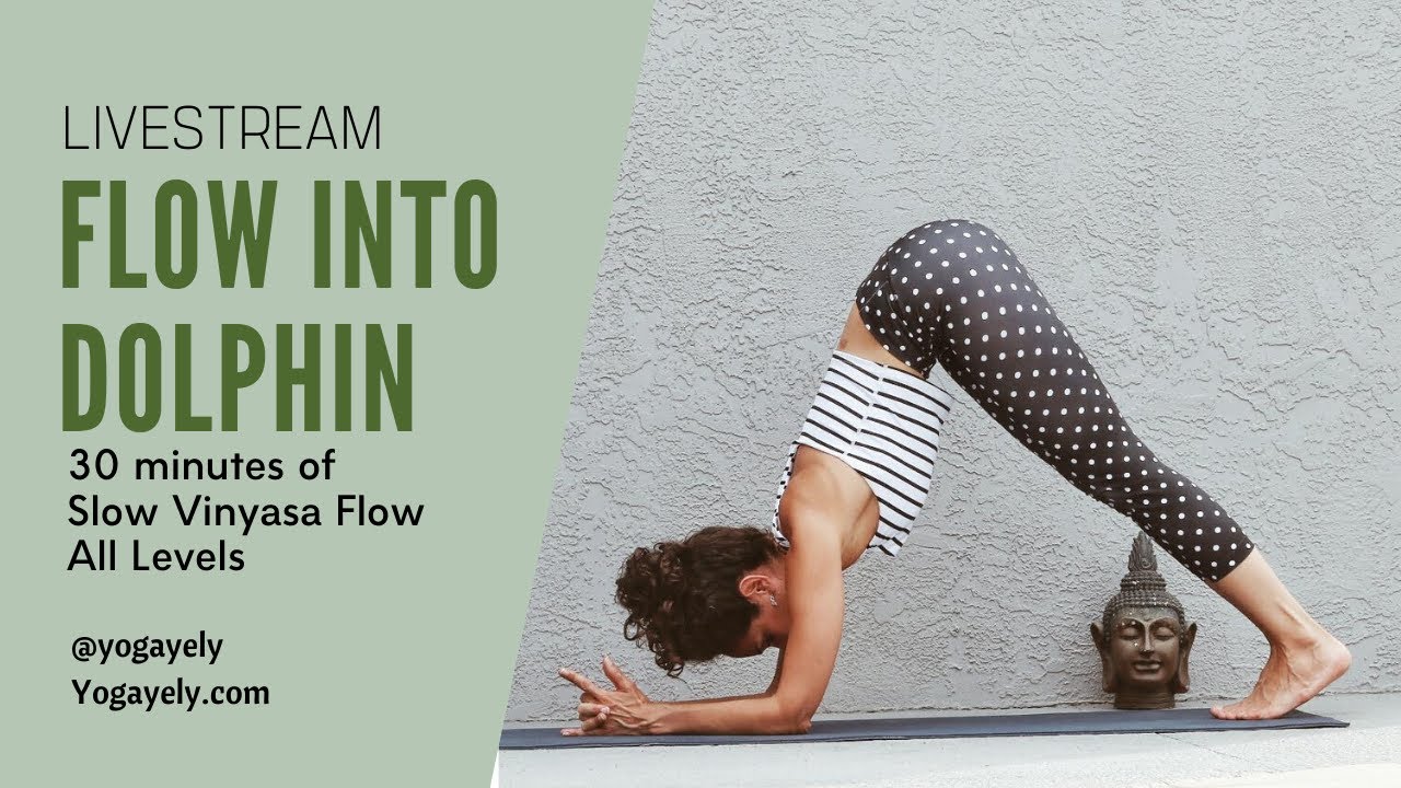 30 Min of Slow Vinyasa: Flow into Dolphin - YouTube