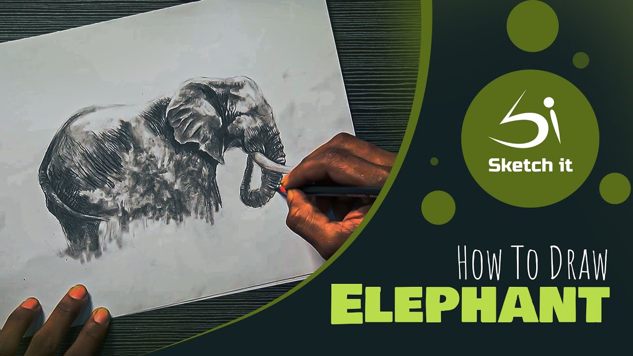 How to draw realistic Elephant with pencil - YouTube