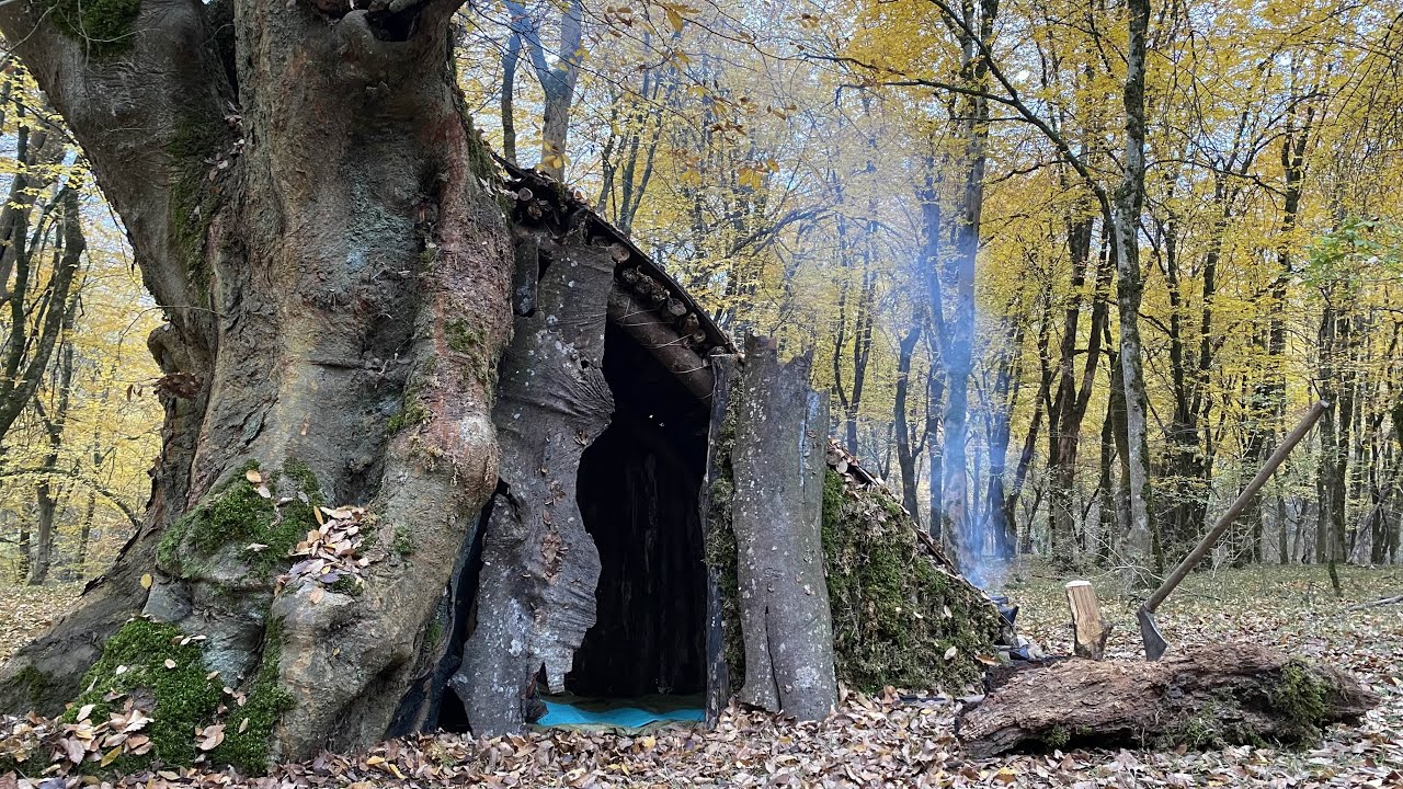 Building Complete And Warm Bushcraft Survival Shelter Attached To Trunk ...