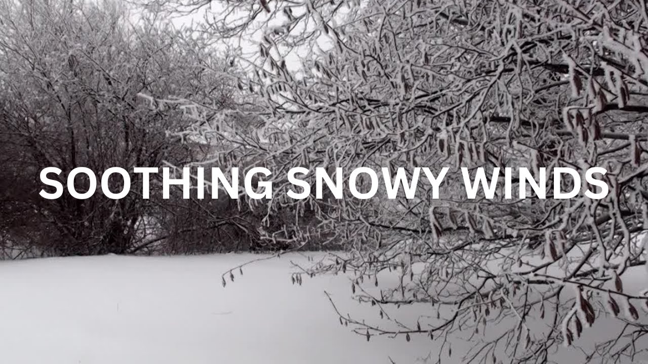 Winter Snow storm sounds, winter Blizzard, winter snowstorm sounds ...