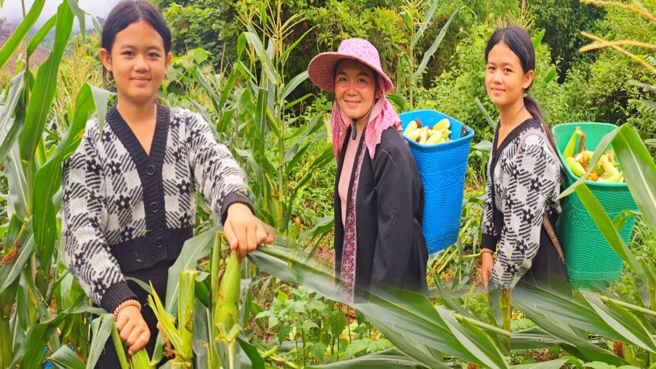 ntai pob kws 2024 - YouTube