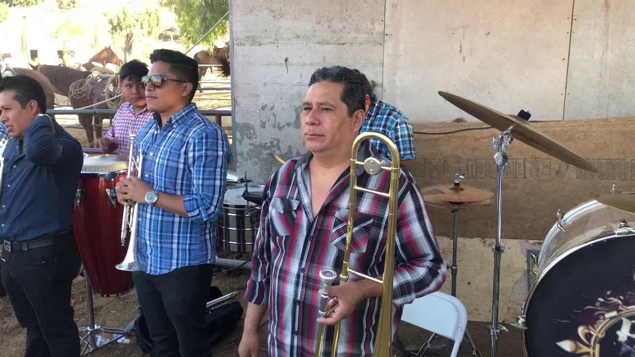 Toro pinto - YouTube