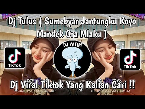 DJ  TULUS |SUMEBYAR JANTUNGKU KOYO MANUK ORA MLAKU VIRAL TIKTOK 2023 !!