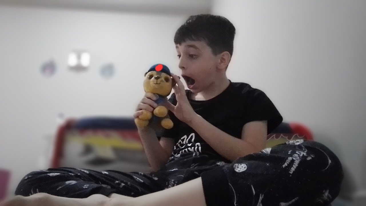 O caçula chase bateu a cabeça e foi pro hospital 🏥 - Vídeo educativo ...