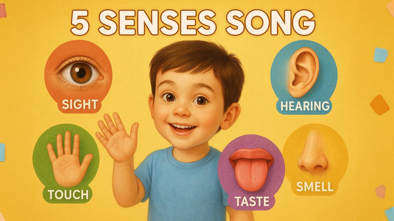5 Senses Song for Kids | Fun Learning Rhyme 🎶👀👂👃👅 | KiKi Kids - YouTube