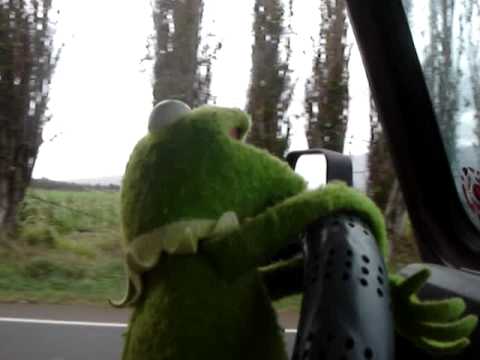 Kermit - Free Bird - YouTube