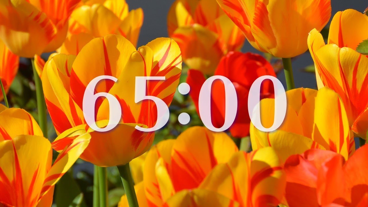 65 Minute Timer - Seasons - YouTube