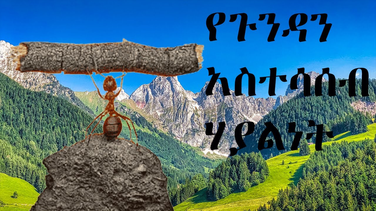 የጉንዳን አስተሳሰብ ሃያልነት//ant attitude-motivational video// #Ethio-Motivator# ...