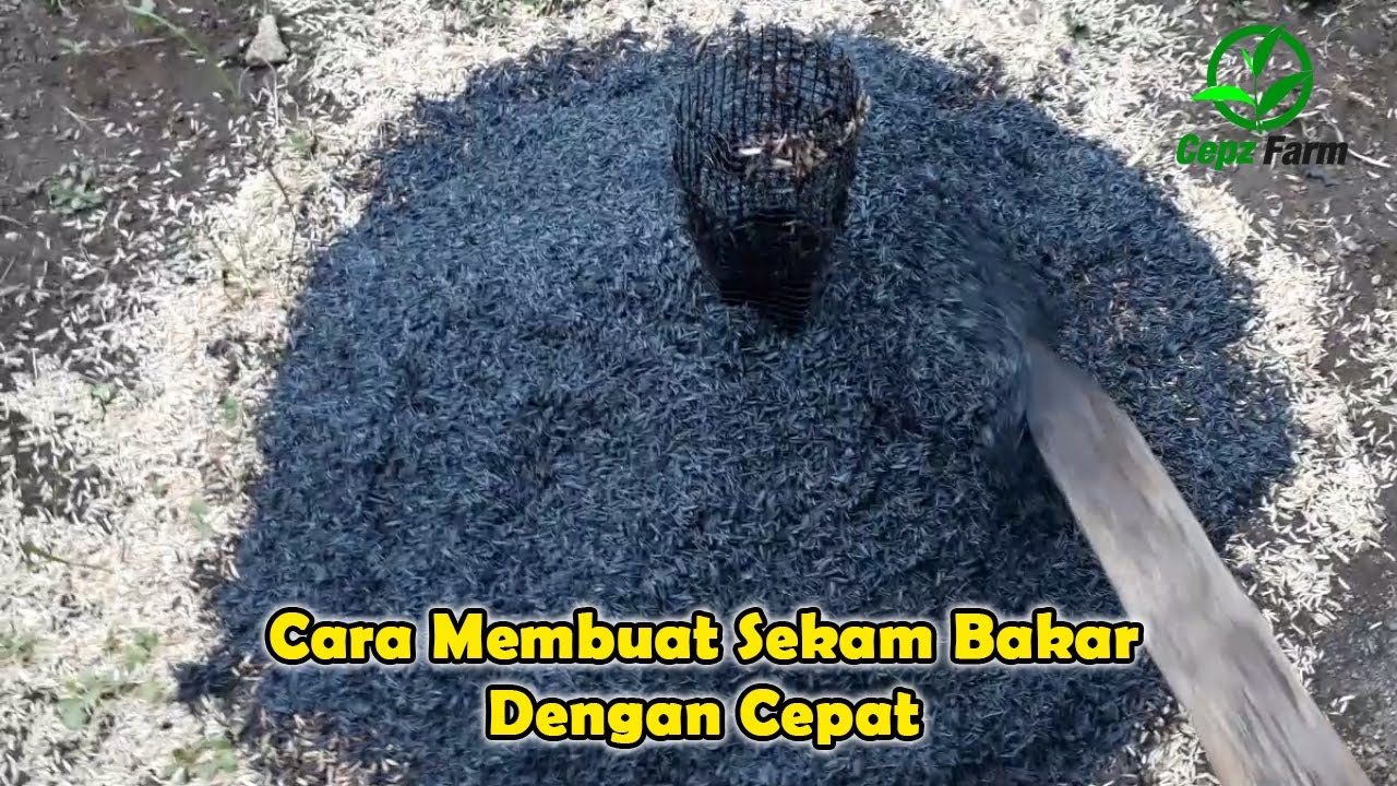 CARA MEMBUAT SEKAM BAKAR DENGAN CEPAT - YouTube