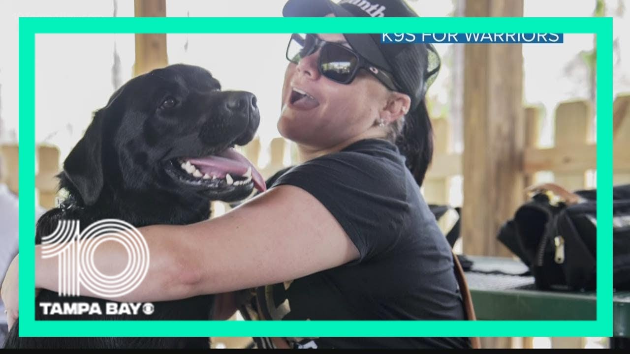 Air Force veteran says her new service dog saved her life - YouTube