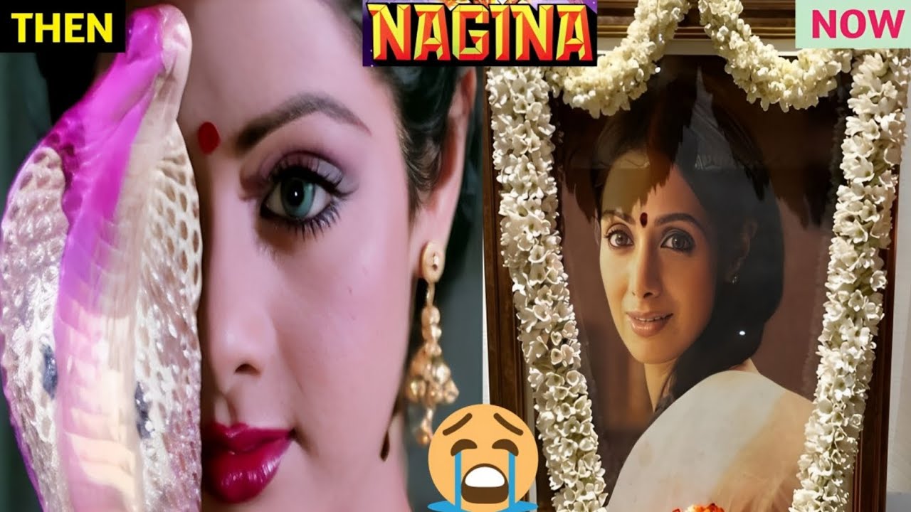 Nagina 1986 Cast Then And Now | Nagina Cast Updates | Nagina History ...