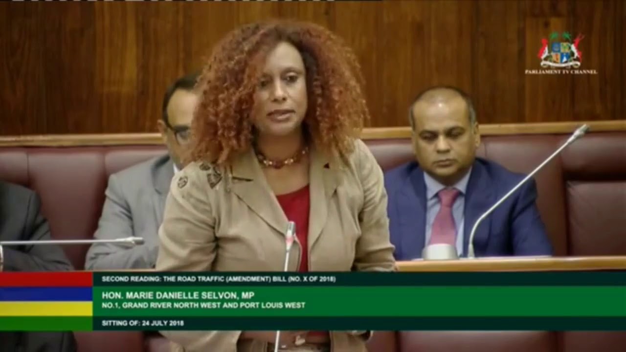 Speech of Hon. Danielle Selvon - The Road Traffic (Amendment) Bill ...