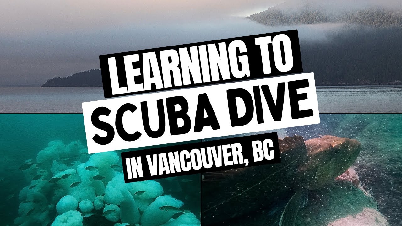 The Best SCUBA Training in Vancouver, BC #britishcolumbia #diving - YouTube