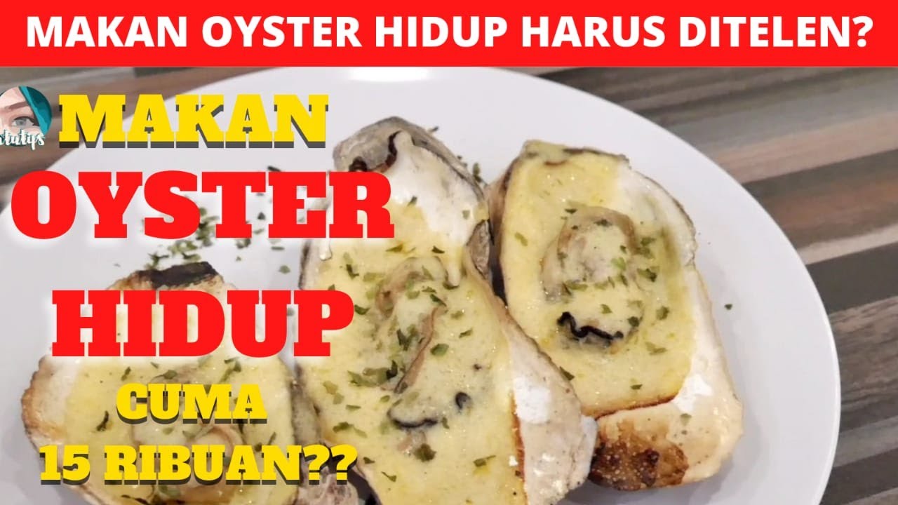 MAKAN OYSTER HIDUP CUMA 15 RIBUAN‼KATANYA JANGAN DIGIGIT GUYS.. - YouTube