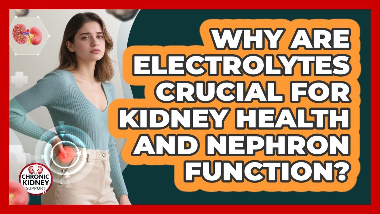 Why Are **electrolytes** Crucial For **kidney Health** And **nephron ...