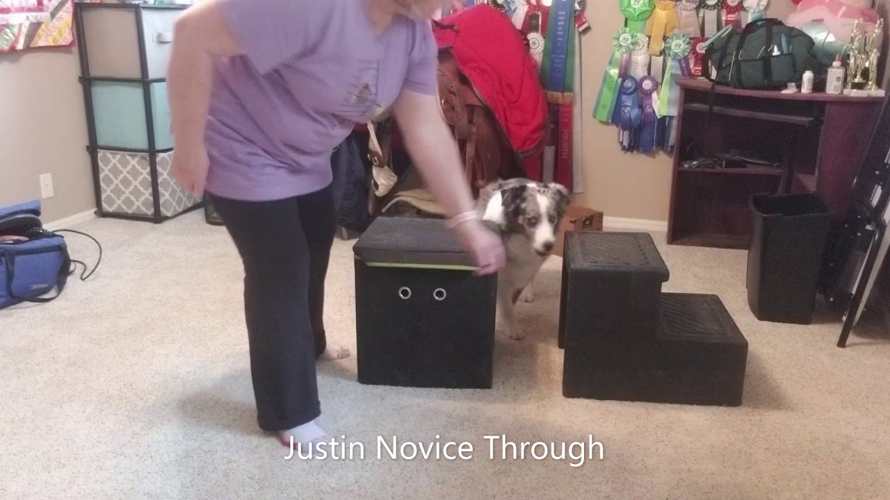 Justin Novice Through - YouTube
