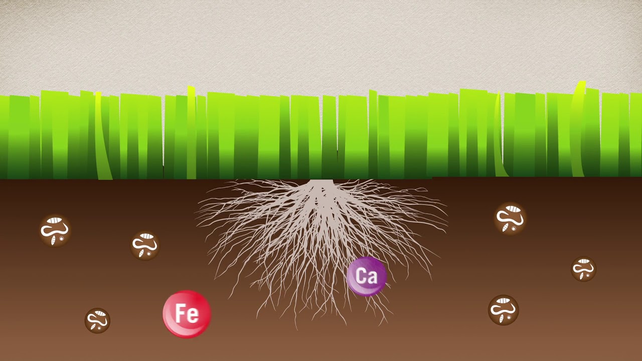 Floratine Soil Conditioning - YouTube