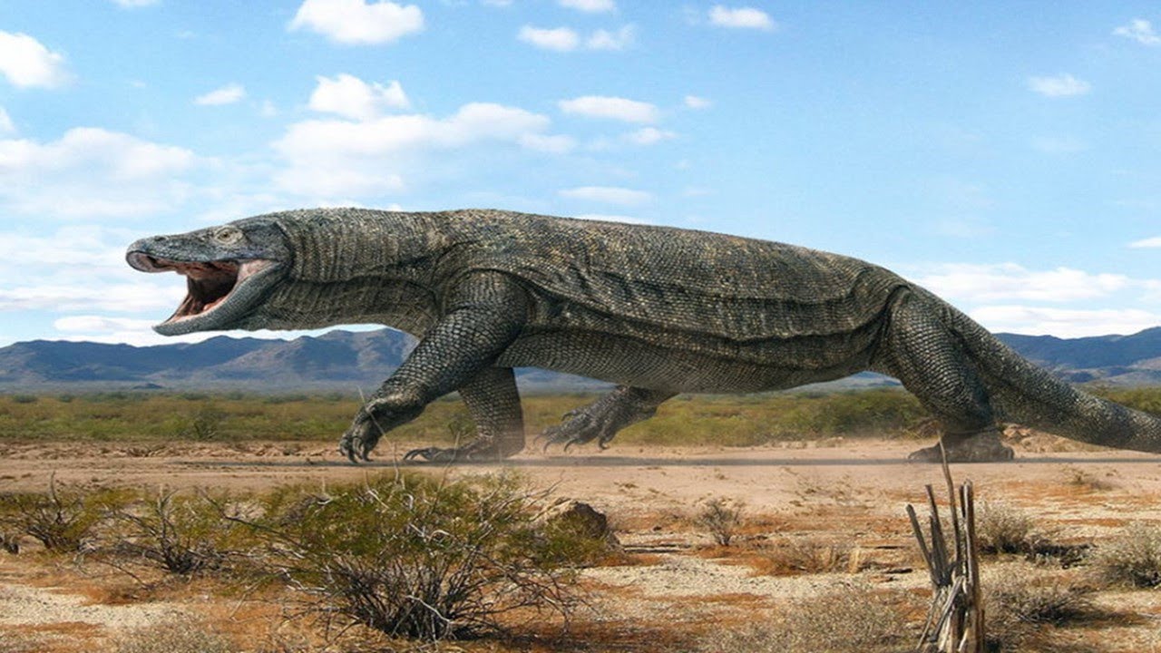The most terrifying Lizard that ever existed - YouTube