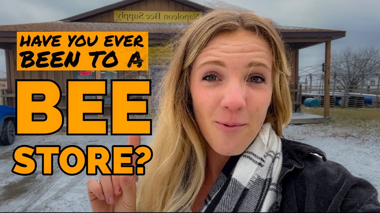 Walking Into Your FIRST BEE STORE! / Beekeeping 101 #beekeeping - YouTube
