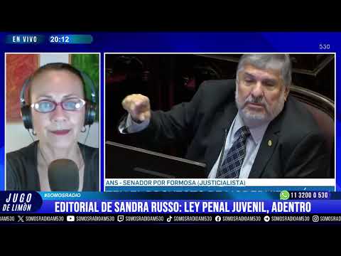 EDITORIAL DE SANDRA RUSSO: LEY PENAL JUVENIL, ADENTRO - JUGO DE LIMÓN - AM530
