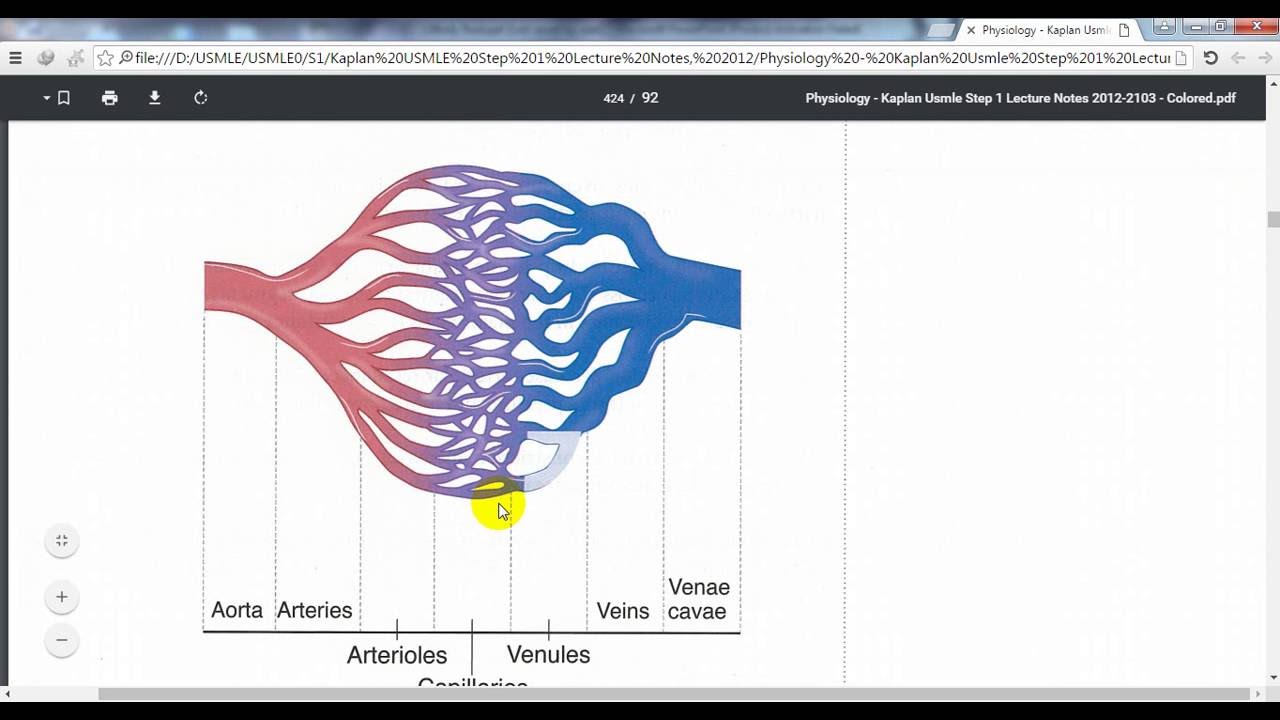 physiology - Peripheral circulation -- (1) - YouTube