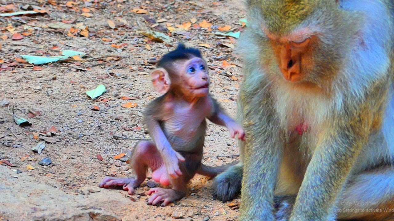 Really cute tiny baby Bria with mom Brianna - YouTube