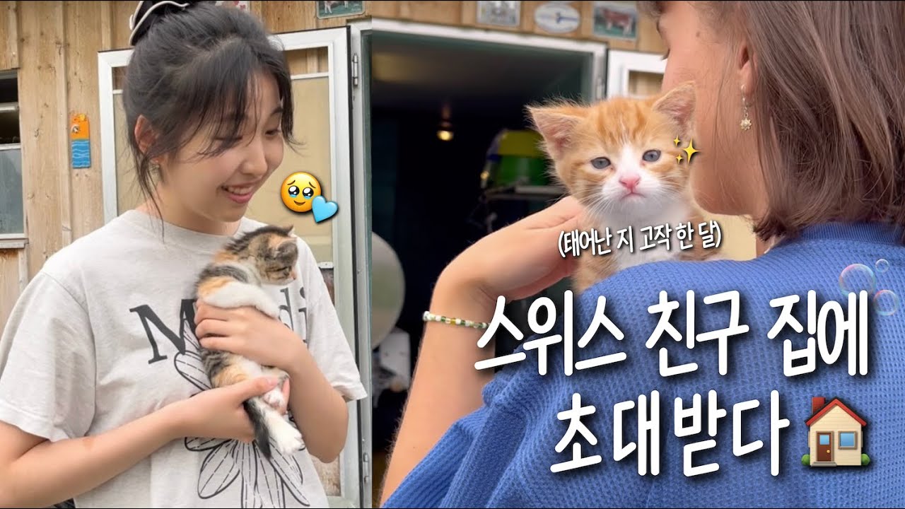 Eng 나 여기서 고양이랑 살래🥹 스위스 교환학생 브이로그 Ep10 스위스 친구 집에 초대받다 • 작별 인사와