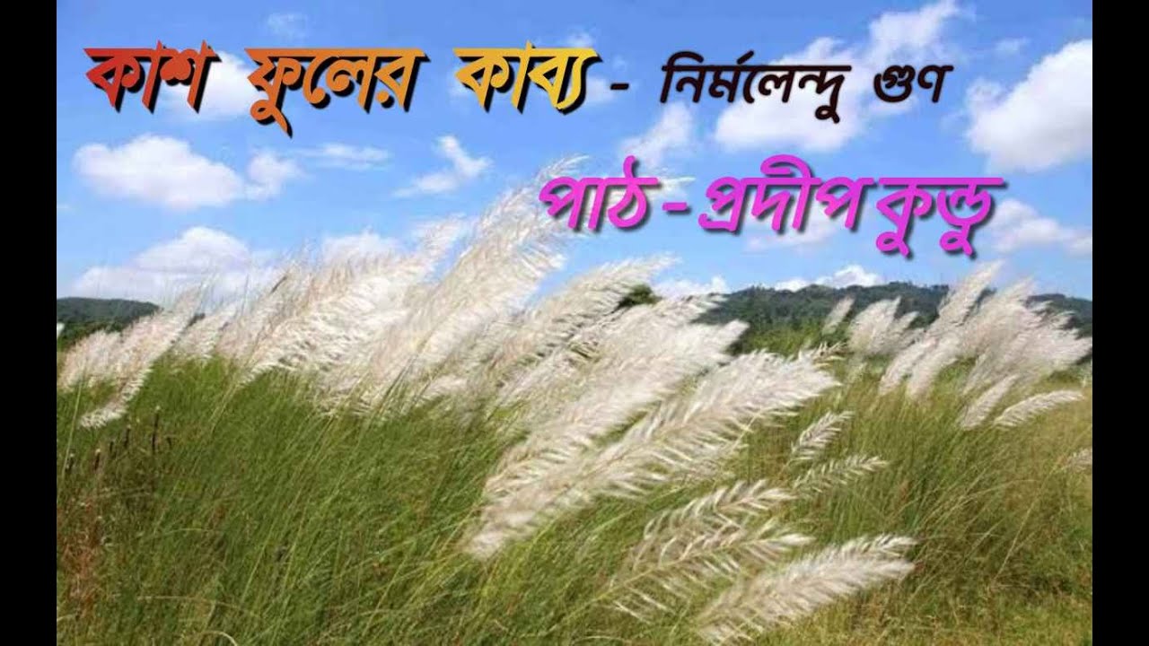 Pujor Kobita|| কাশ ফুলের কাব্য ||Kash Fuler Kabbo||নির্মলেন্দু গুণ ...