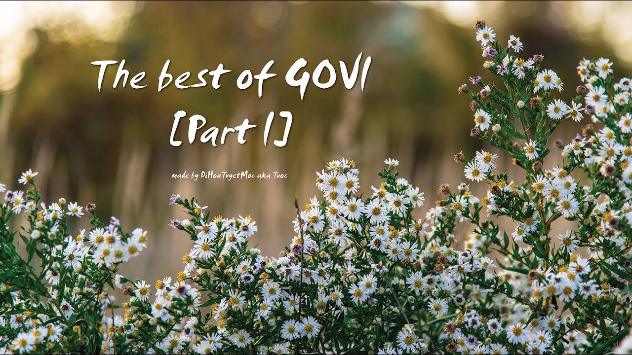 🌺 The best of GOVI【Part I】 - YouTube