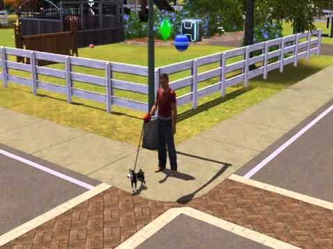 Sims 3 Pets Dog Walking - YouTube