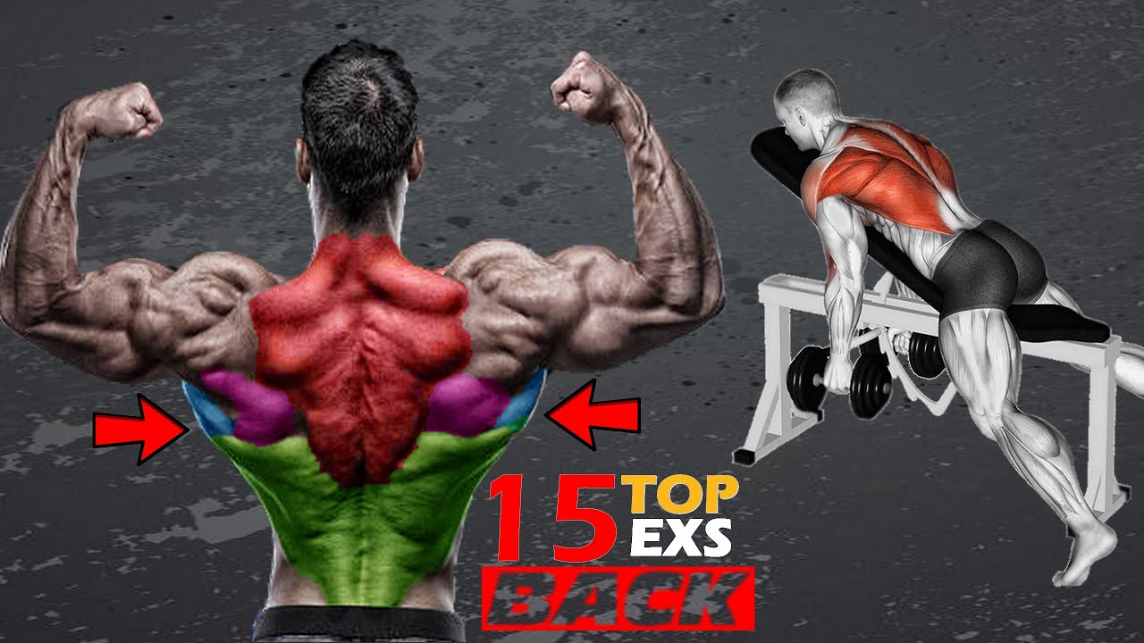 TOP 15 BACK Exercises - BACK WORKOUT - YouTube