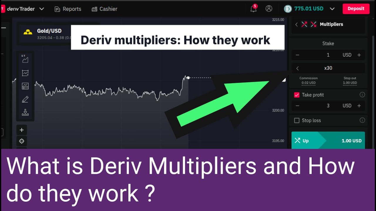 Learn What Is Trading Deriv Multiplier And How To Use It - YouTube