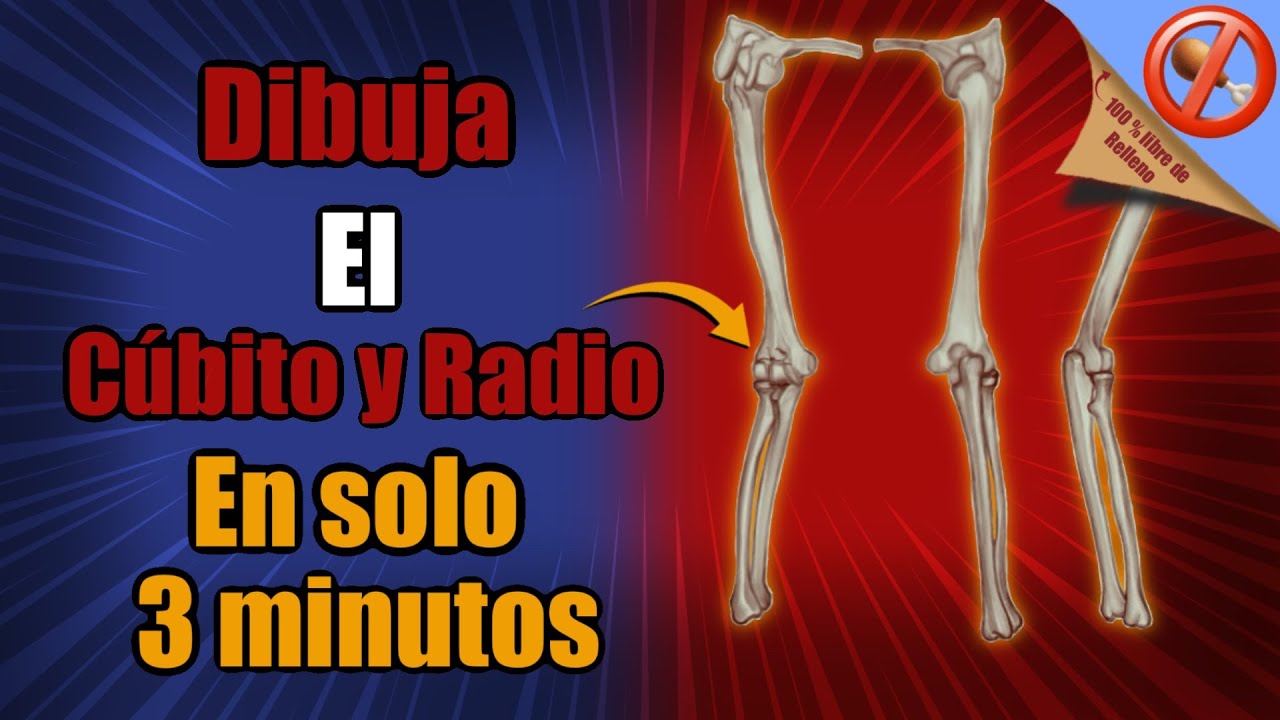 Dibuja el brazo en 3 minutos Parte 2: Él Cubito y Radio - YouTube