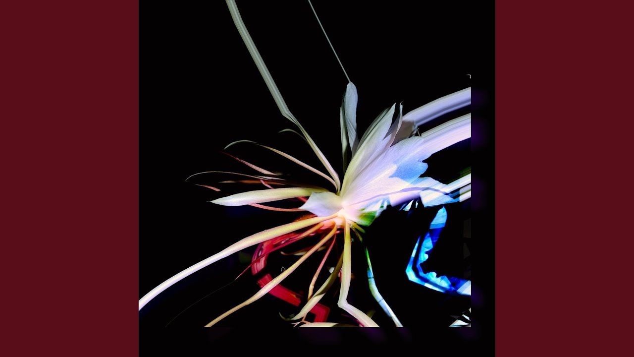 Outline (Float Mix) - YouTube