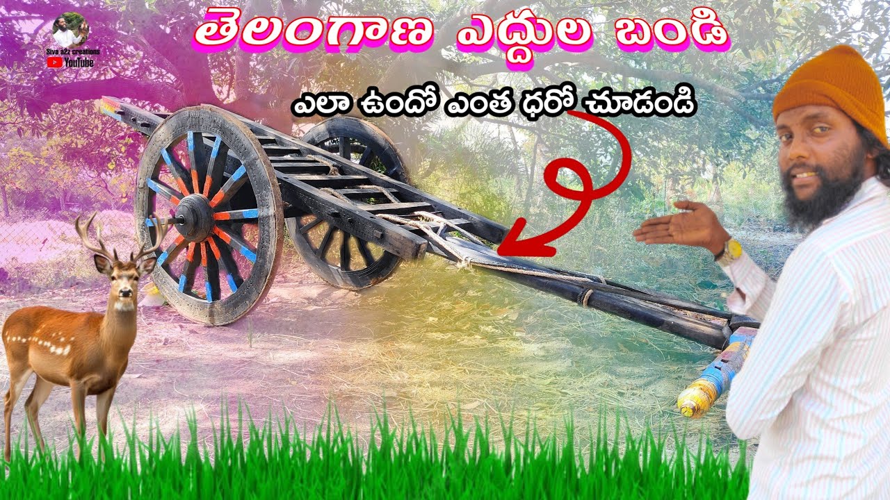 Telangana eddula bandi videos 2023 // తెలంగాణా ఎద్దుల బండ్లు చూడండి ...
