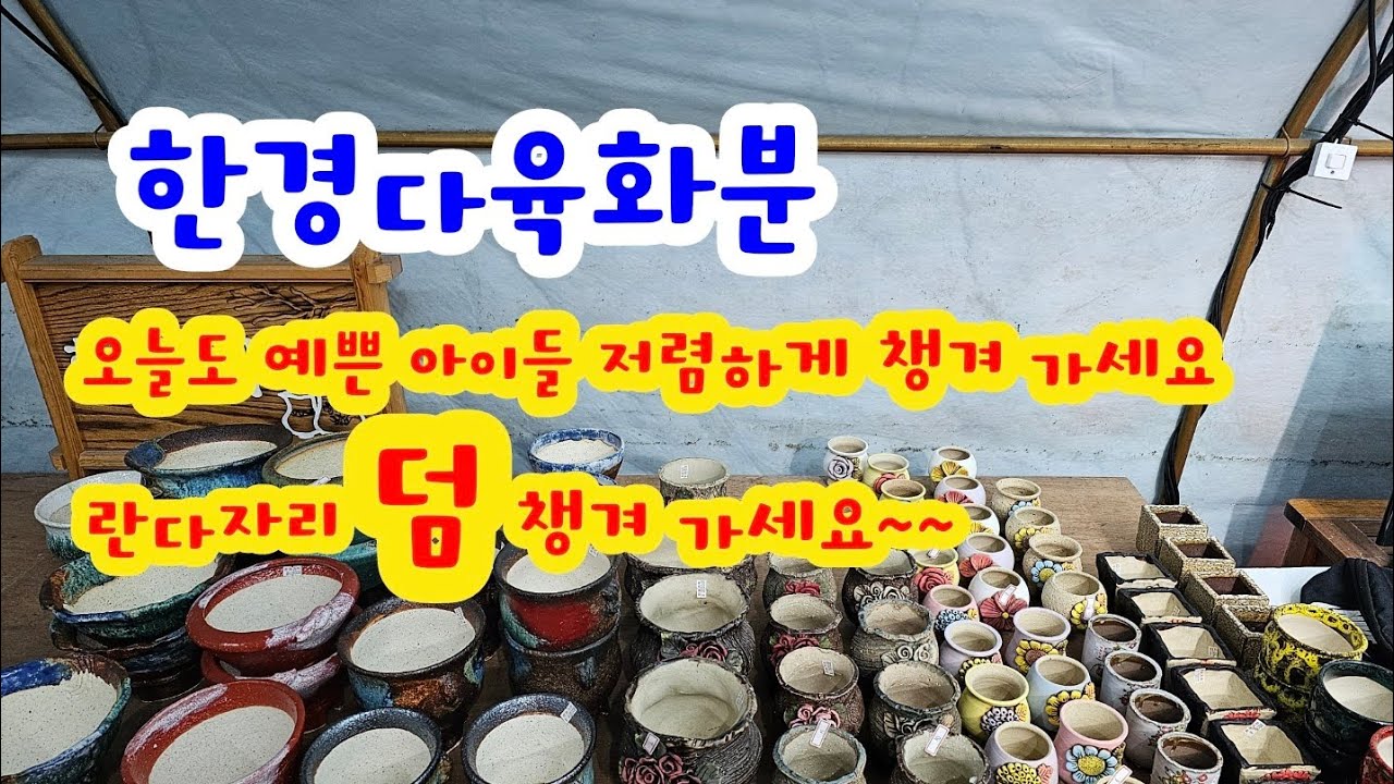 2023년 12월 5일324회차영상 한경다육화분 수제공방분 공방분 다육화분 다육생활 다육식물 다육이란다자리