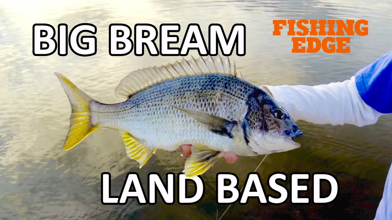 Fishing Edge Episode - Big Bream Land Based - YouTube