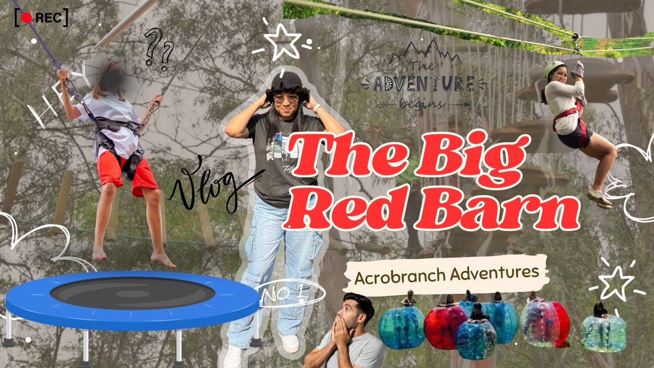 Thrilling Family Adventure at The Red Barn Acrobranch in Pretoria 🌿 ...