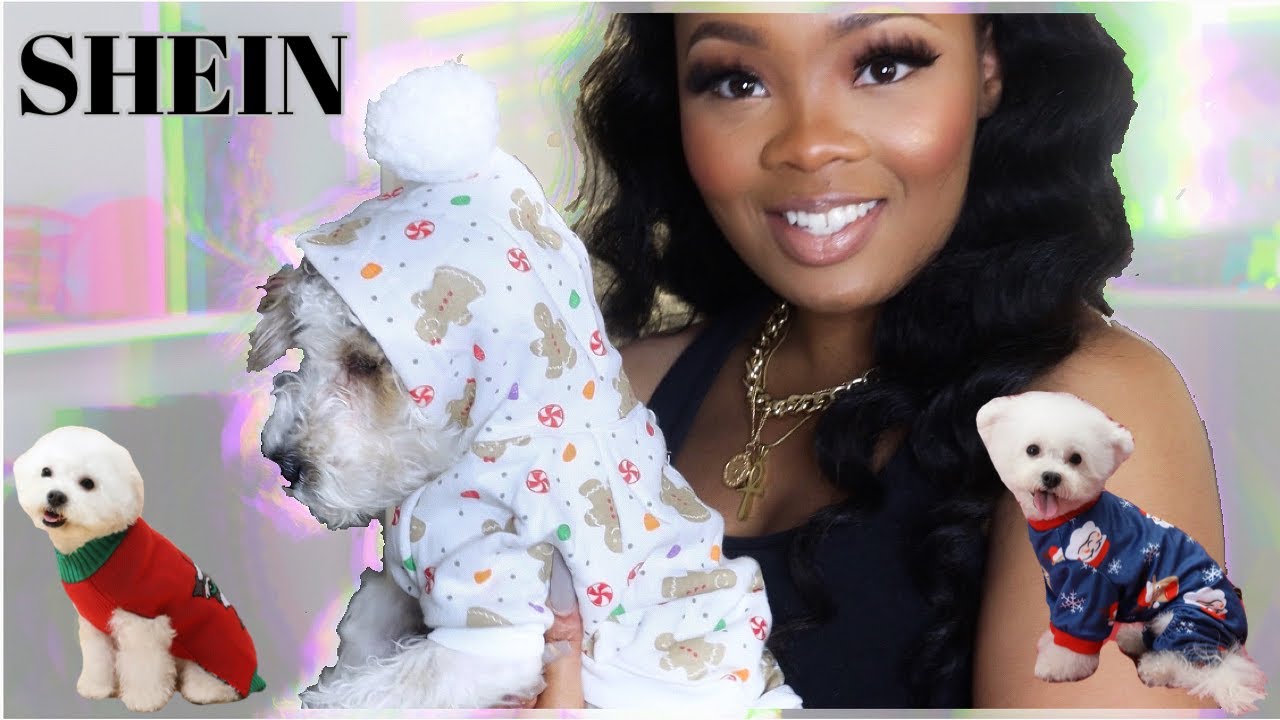 SHEIN Puppy Try On Haul | Affordable Christmas Outfits For Dogs ...