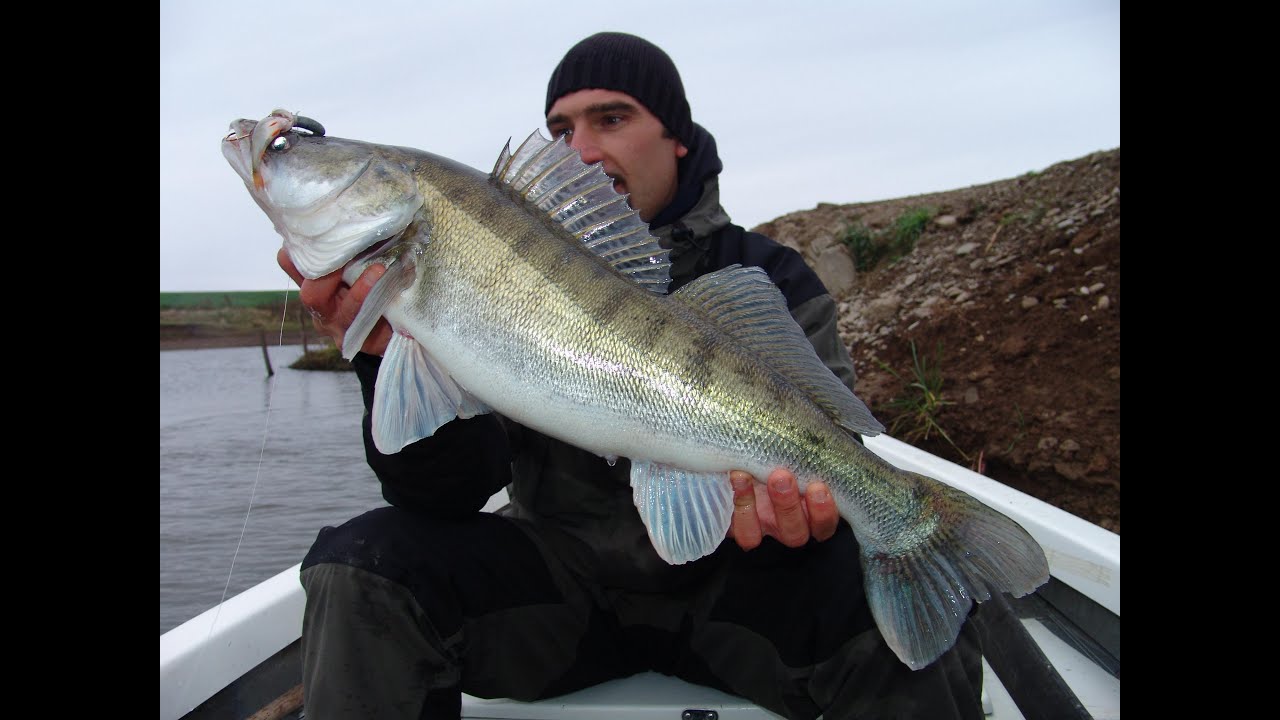 ZANDER FISHING IN ROMANIA: LAKE RADUTA IN SARULESTI by CATFISHING WORLD ...