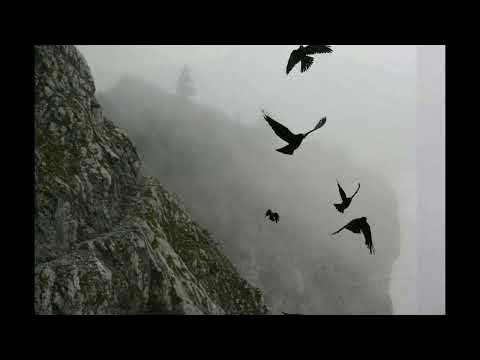 ОРЁЛ И ВОРОН стихи Васи Бубкина читает Дмитрий Канунов - YouTube