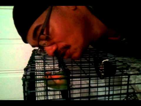 lucky torres kissing - YouTube