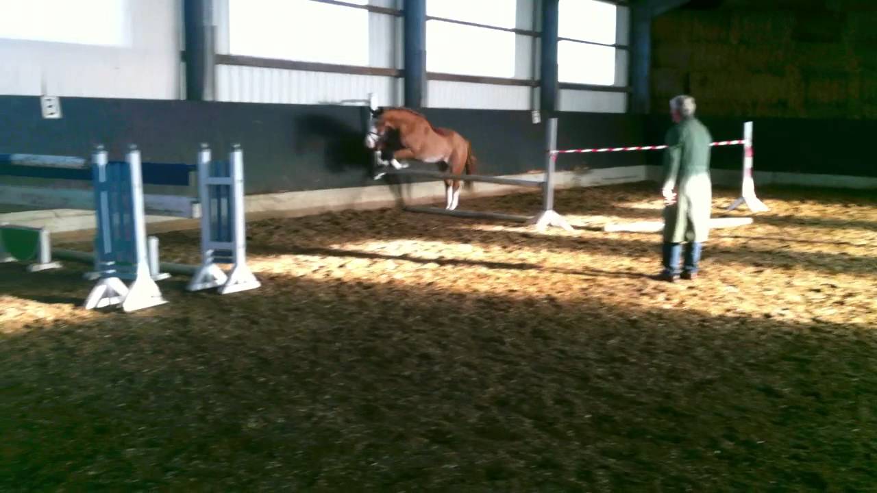 HorseBase Movie - YouTube