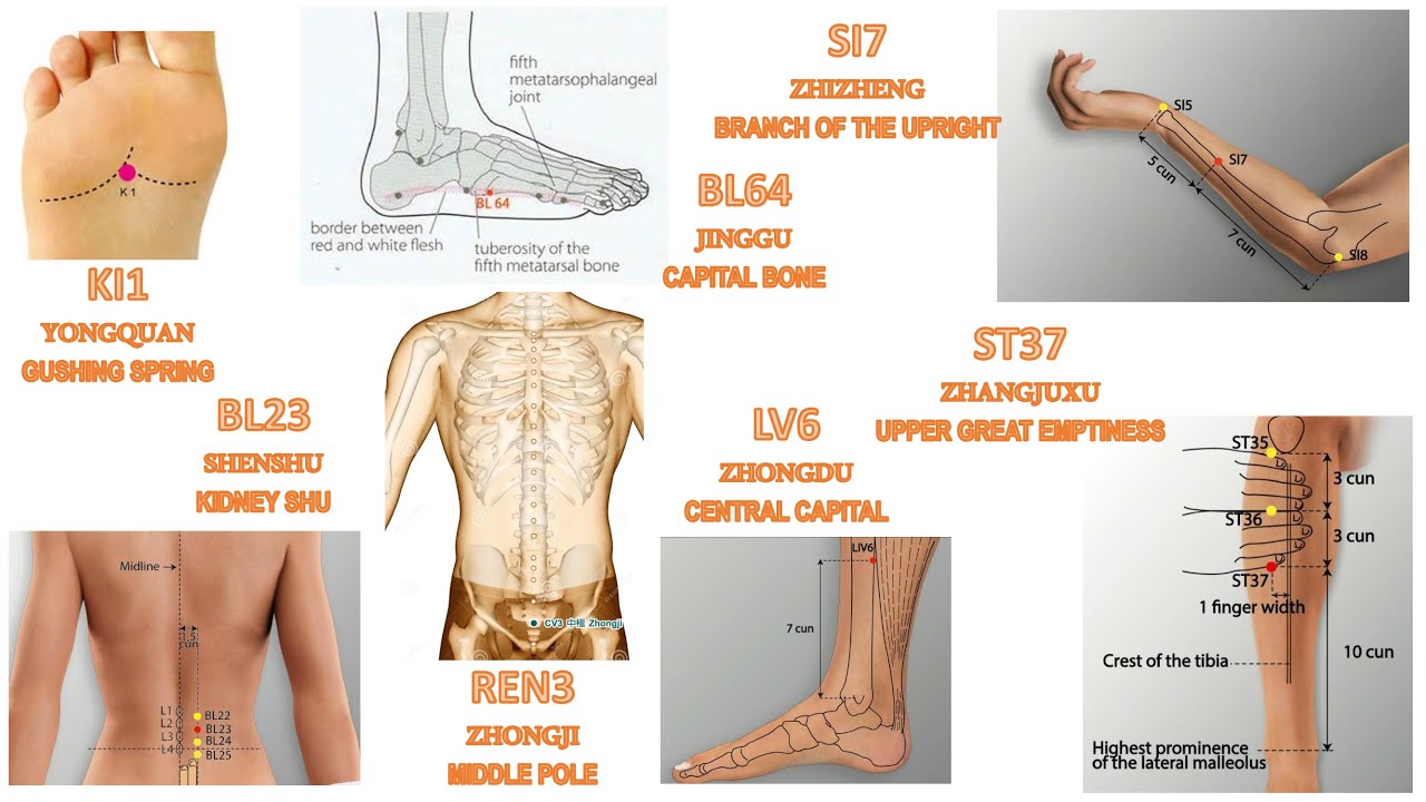 LAMP ACUPUNCTURE 13: KI1, BL64, SI7, BL23, REN3, LV6, ST37 - YouTube