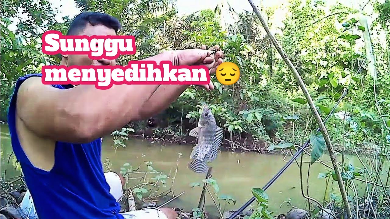 Spot bekas di setrum kembali beraksi 😱 - YouTube
