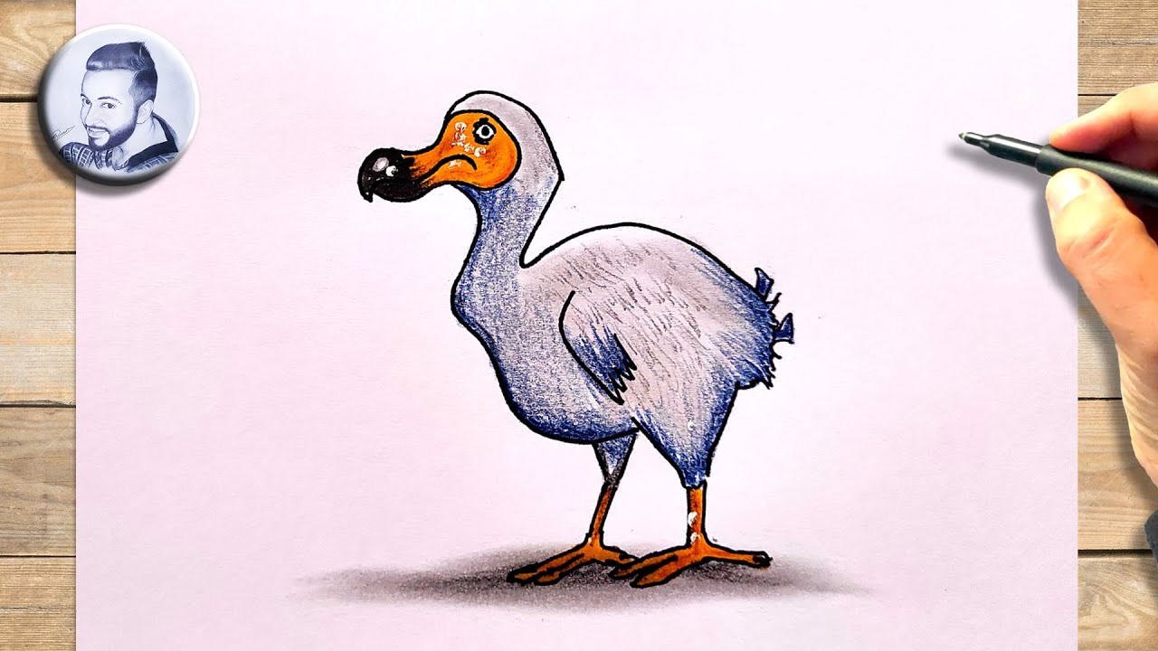 Comment dessiner un dodo dessin facile à faire - YouTube