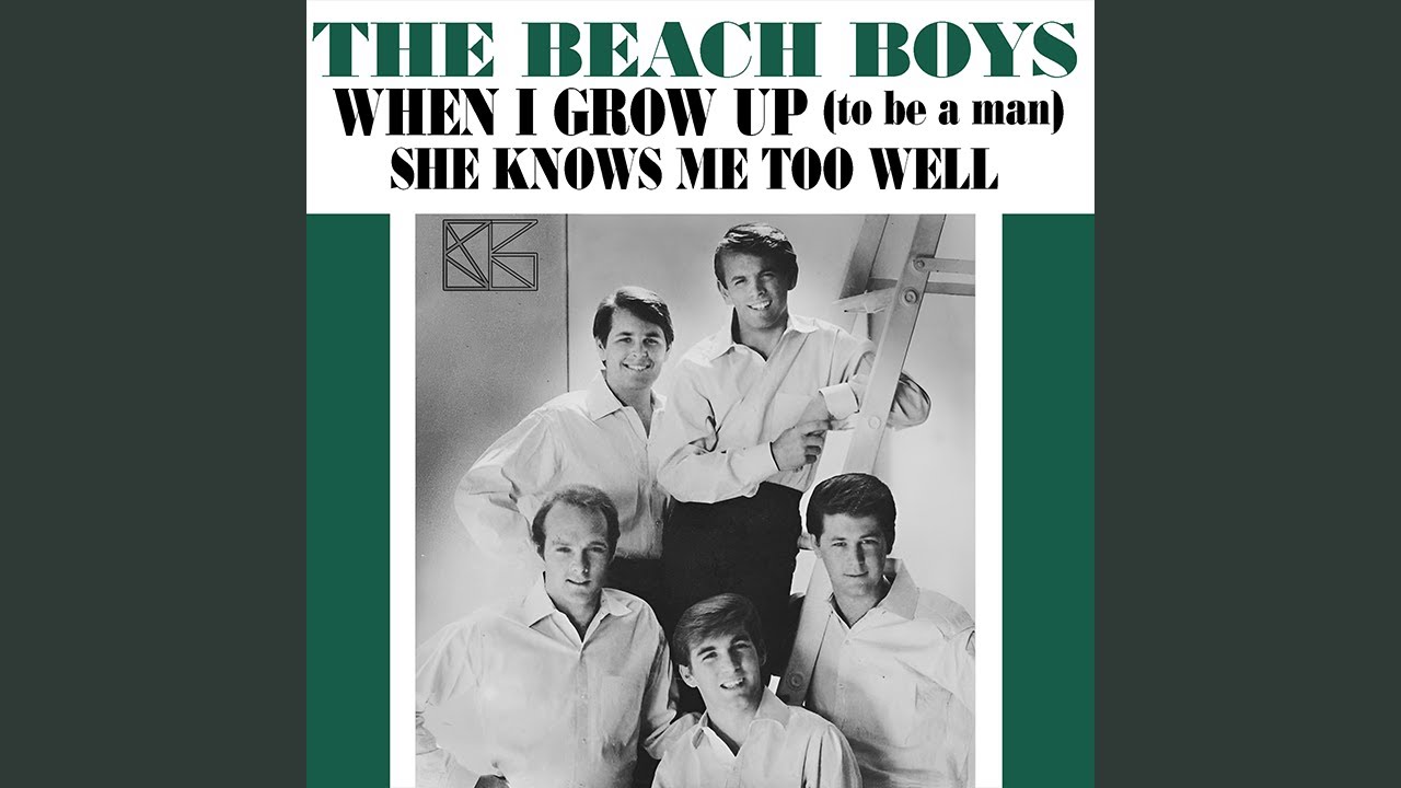The Beach Boys - She Knows Me Too Well (2025 New Remix, No Fade Out ...