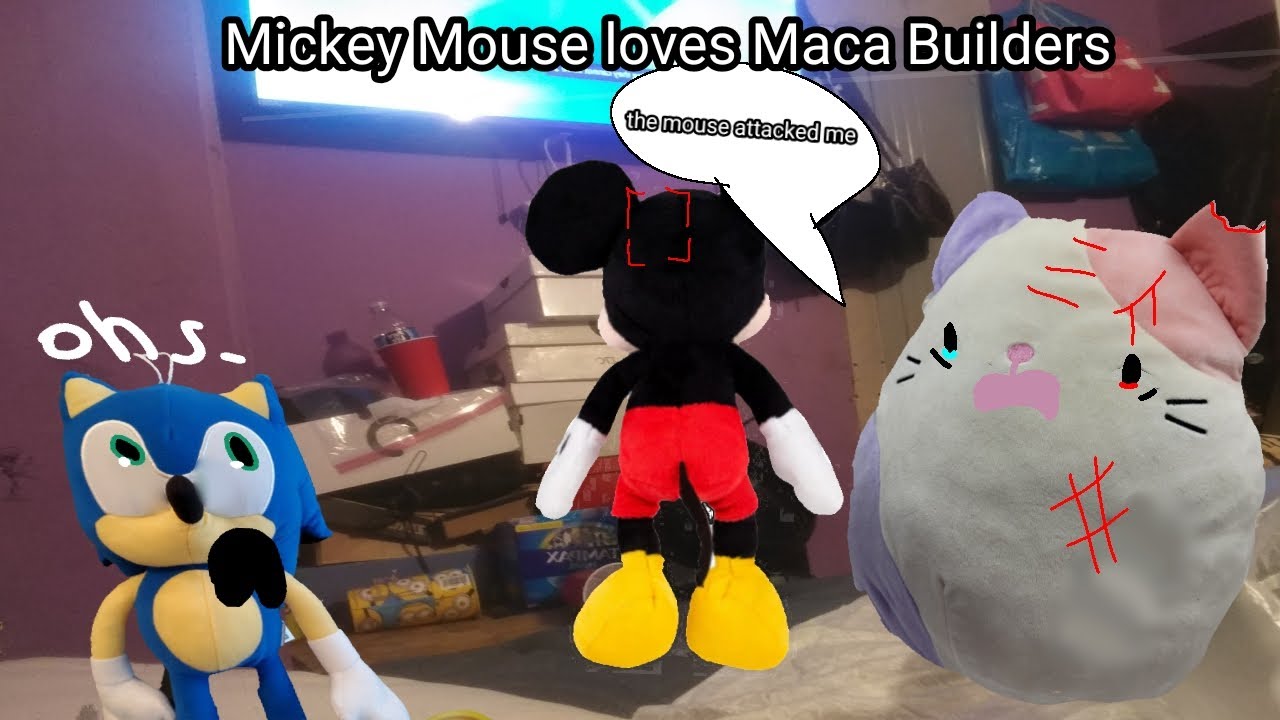 melon's shorts: Mickey Mouse attacks the cat - YouTube