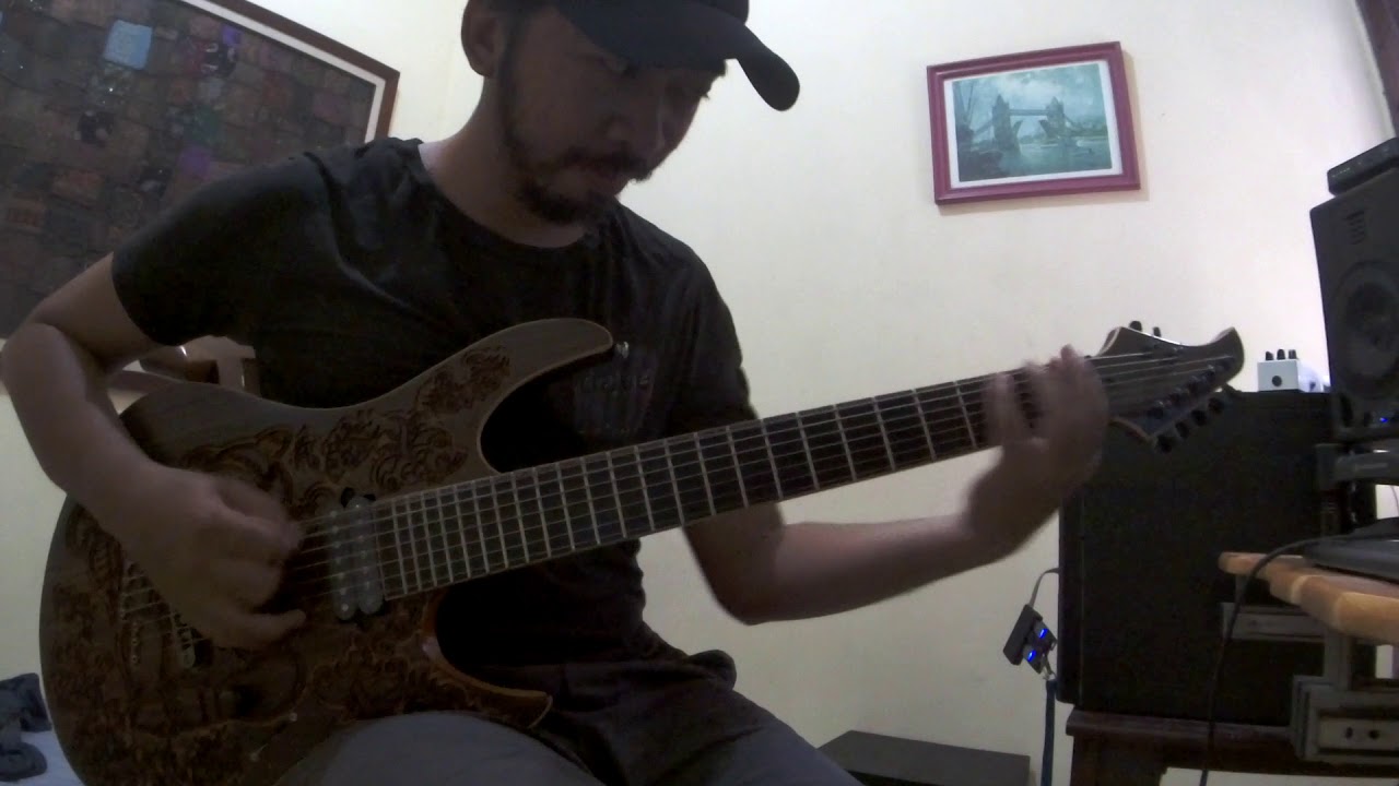 STEPHALLEN 7 STRING Dimarzio PAF 7 BIASFX Djabon Strings 10-74 ...